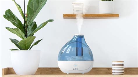 Best Small Home Humidifier Top Sellers Cityofclovis Org