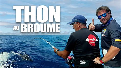Pêche du thon rouge au broumé en Méditerranée YouTube