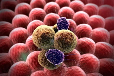 Un fármaco para la presión arterial podría evitar la metástasis