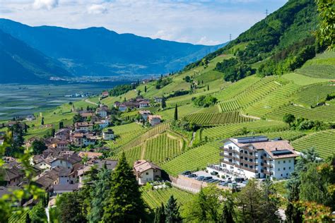 Residence Garni Hotel Vineus Genuss Radurlaub In Tramin