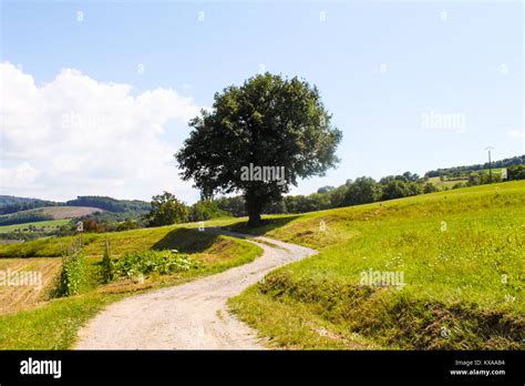 Curved Path Hi Res Stock Photography And Images Alamy
