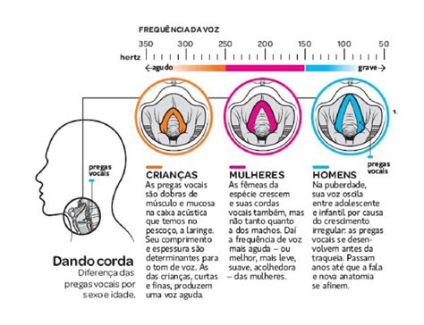 Quadro esquemático apresentando resumidamente as principais diferenças