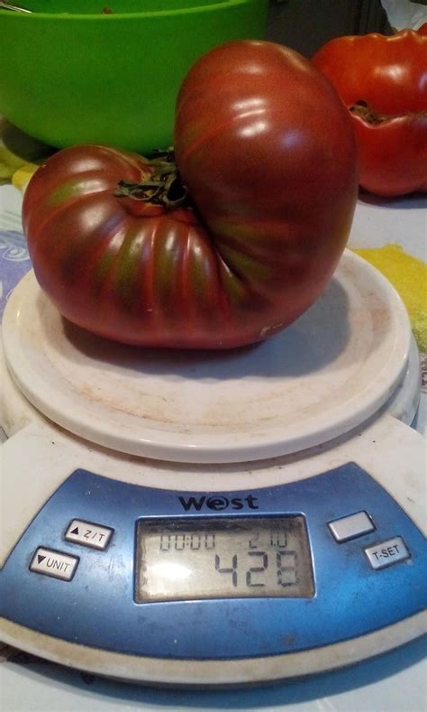 Pin by Snitko Vladislav on 1 А Овочі in 2022 Vegetables Food Fruit