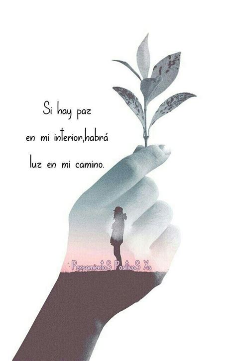 Reflexion Frases Positivas Cortas Dejuve