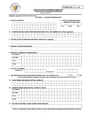 Fillable Online FORM BN 3 Rev 4 0 Office Of The Registrar Of