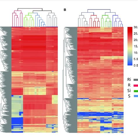 unsupervised hierarchical cluster analysis with euclidean distance download scientific