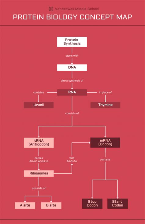 Concept Map Examples To Showcase Your Ideas Venngage