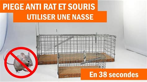 Pi Ge Rat Pi Ge Souris Nasse Comment Les Utiliser Youtube