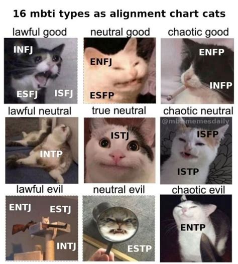 Mbti Types As Alignment Chart Cats Lawful Good Neutral Good Chaotic