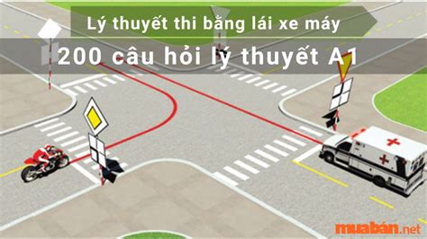 Bộ 600 Câu Hỏi Thi Bằng Lái Xe B2 PDF Bí Quyết Ôn Tập Hiệu Quả