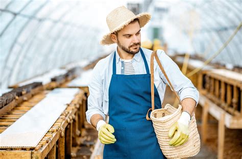 Contratto Agricolo 2024 Quali Sono I Livelli E I Relativi Stipendi