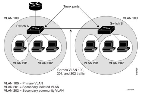 Private VLAN Explained And Configuration Step By Step Lab Learn Duty