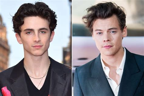 5 things we learned from Timothée Chalamet Harry Styles interview