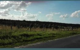 Bezpłatne Ogłoszenia Rolnicze Ziemia rolna Ziemia rolna 23 89ha na