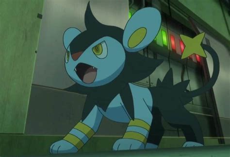 Shinx Guide A Pokemon That Sparks Excitement Pok Universe