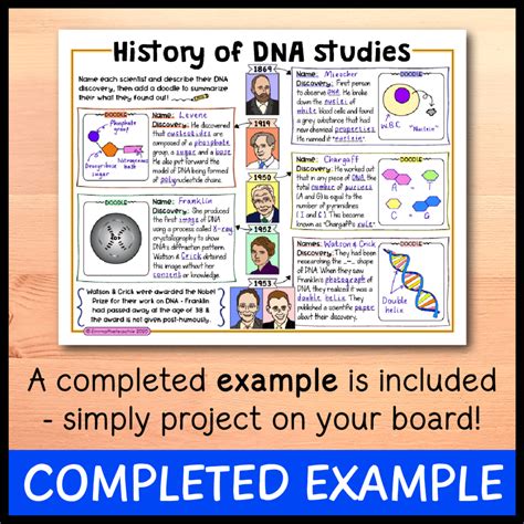 The Structure Of Dna Doodle Notes Emmatheteachie