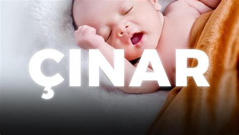 Çınar ismi ne anlama gelir Çınar isminin anlamı nedir Bebek Haberleri