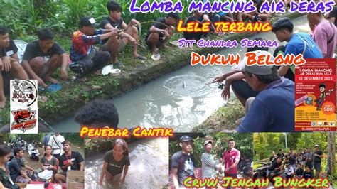 BERTEBARAN LELE MASTER LOMBA MANCING AIR DERAS LELE TERBANG STT CHANDRA