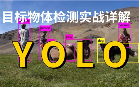 【yolov5目标检测算法】零基础入门教程！原理详解 模型训练 代码复现，计算机博士半天带你吃透yolov5算法！