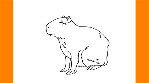COMO DESENHAR UMA CAPIVARA YouTube