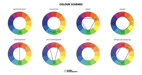 What Are Complementary Colors How To Use Them In Photos Expertphotography