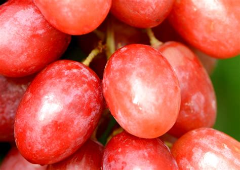 Las Principales Variedades De Uva De Mesa En El Mercado Mundial AgroNoa