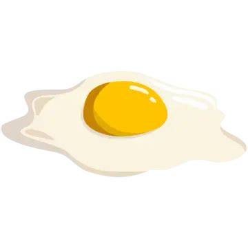 Fried Sunny Side Up Eggs Vector Egg Sunny Side Up Egg Sunny Side Up