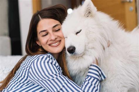 10 Señales de que Tu Perro REALMENTE Confía en Ti
