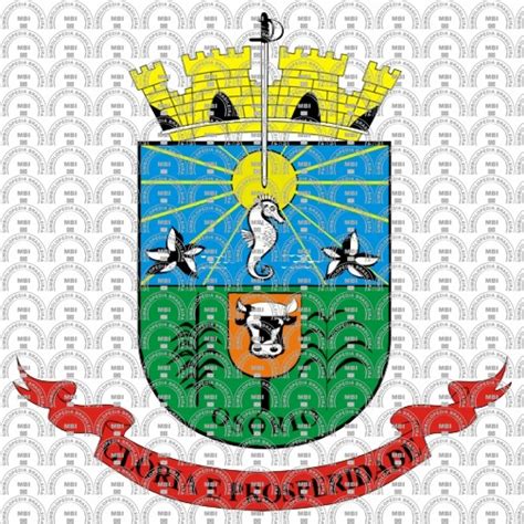 Brasão e Bandeira do Município de Osório RS mbi br