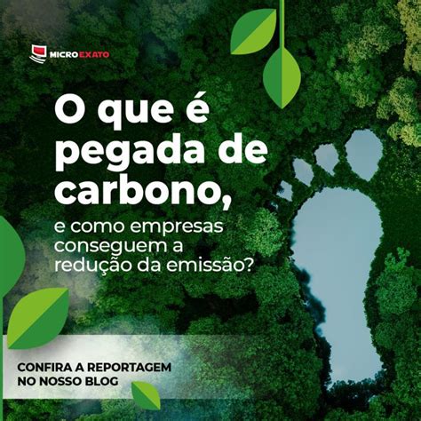 O que é pegada de carbono e como empresas conseguem a redução da