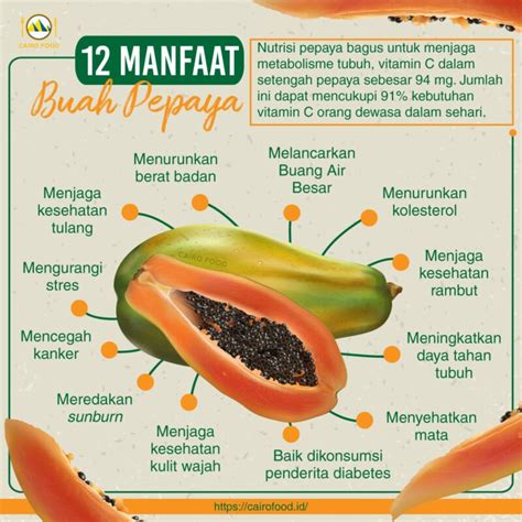 12 Manfaat Buah Pepaya Untuk Kesehatan Cairo Food