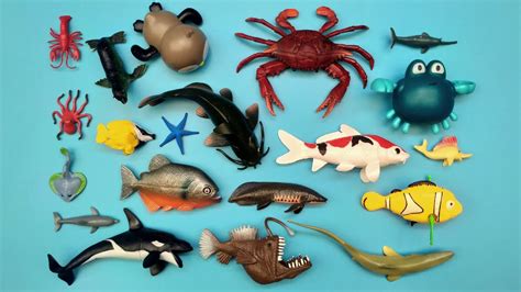 Hewan Laut Kepiting Penyu Gurita Ikan Samadar Cicit Narwhal Orca