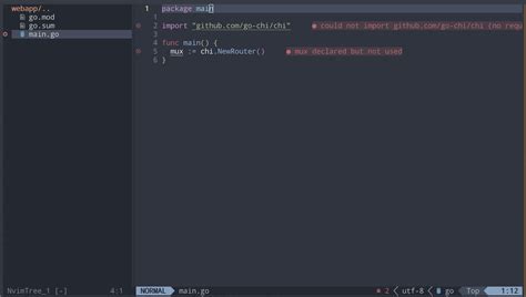 X Tools Gopls Cannot Find Module Providing Package X Module Lookup