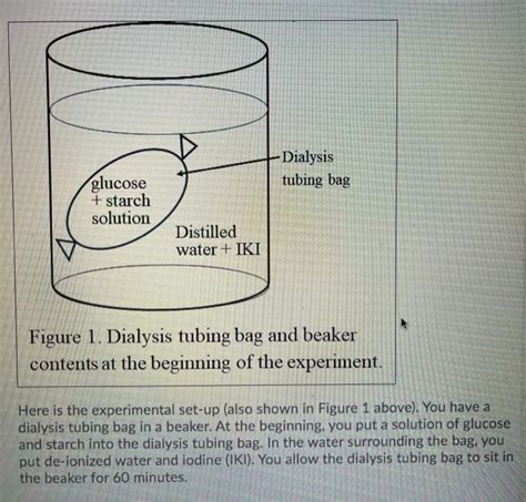 Dialysis Tubing Experiment With Glucose And Starch