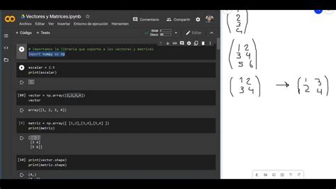 cÓmo usar vectores y matrices en python youtube