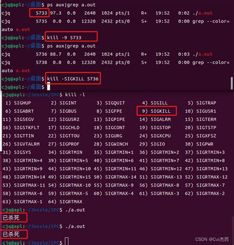 linux系统编程 进程间通信第2天： 共享内存（全双工）、信号（类似半双工）、信号量 linux实现全双工通讯 csdn博客