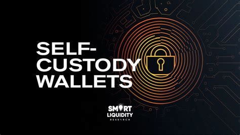 Self Custody Wallets Explained Smart Liquidity Research