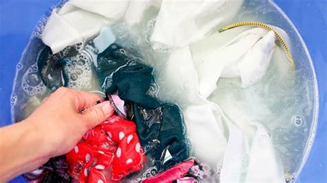 Cómo quitar el olor a humedad de la ropa si no se ha secado bien danruilo
