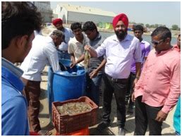 AQUAPOST Shrimp Farming In Punjab And The Future