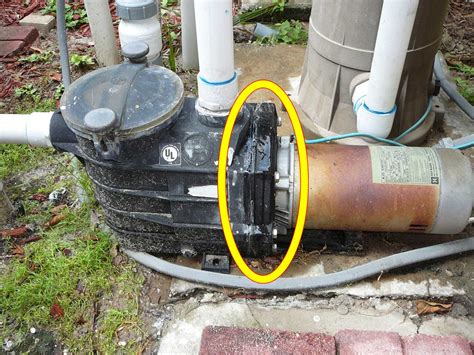 Fuite Pompe Piscine Comment diagnostiquer et réparer
