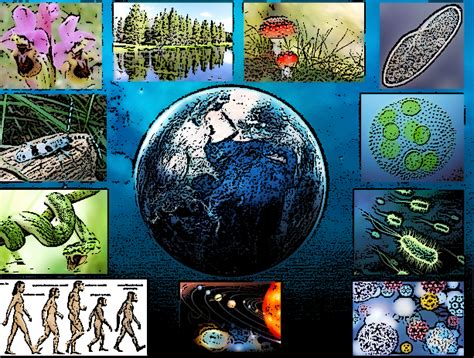 Ciencias Naturales Diagram Quizlet