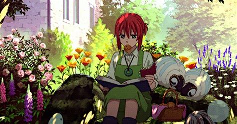 Discover The Ancient Magus Bride Anime In Coedo Vn