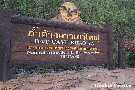Visit Khao Yai Bat Cave In Khao Yai