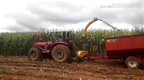 Fazendo Silagem De Milho Na Fazenda Youtube