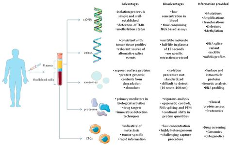 Components Of Tumor Circulome Examined In Liquid Biopsies And Their
