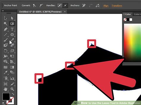 How To Use The Lasso Tool In Adobe Illustrator Steps