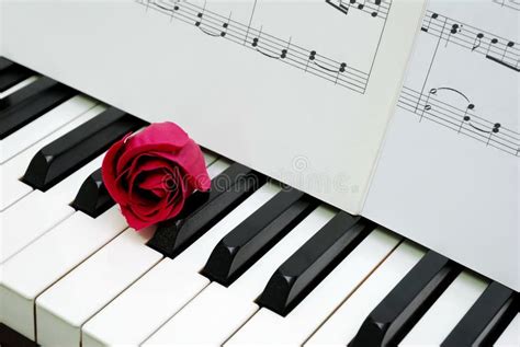 Pianino Klucze I Czerwieni Róża Romantyczna Muzyka Zdjęcie Stock