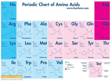Printable Amino Acid Chart