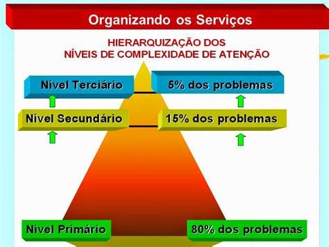 Niveis De Complexidade Do Sus Braincp