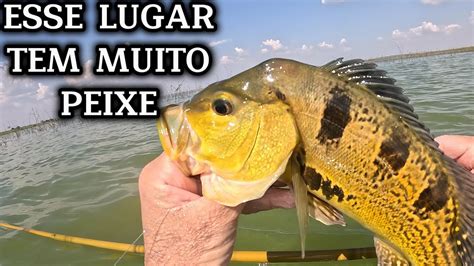 Pescaria rio Tietê tem o dia do pescador hoje foi o dia do peixe água